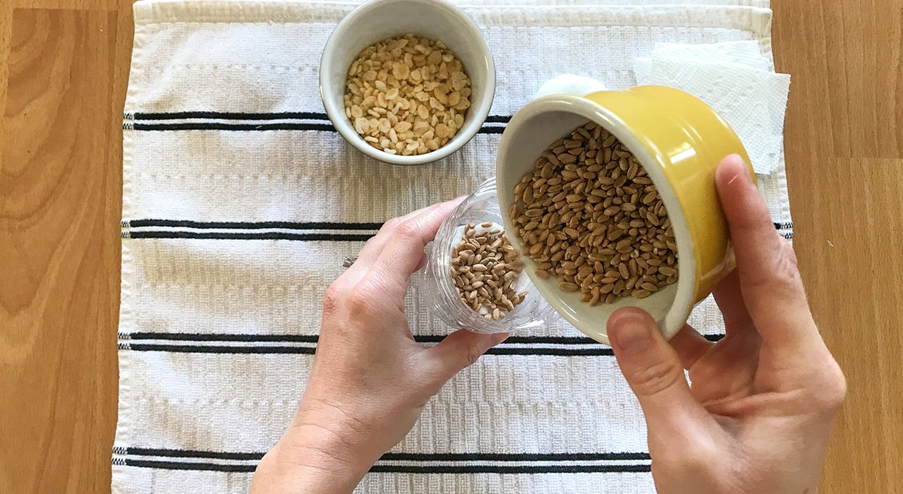 Make a Water Filter – Engineering Project | NASA JPL Education