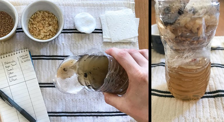 Make a Water Filter – Engineering Project | NASA JPL Education